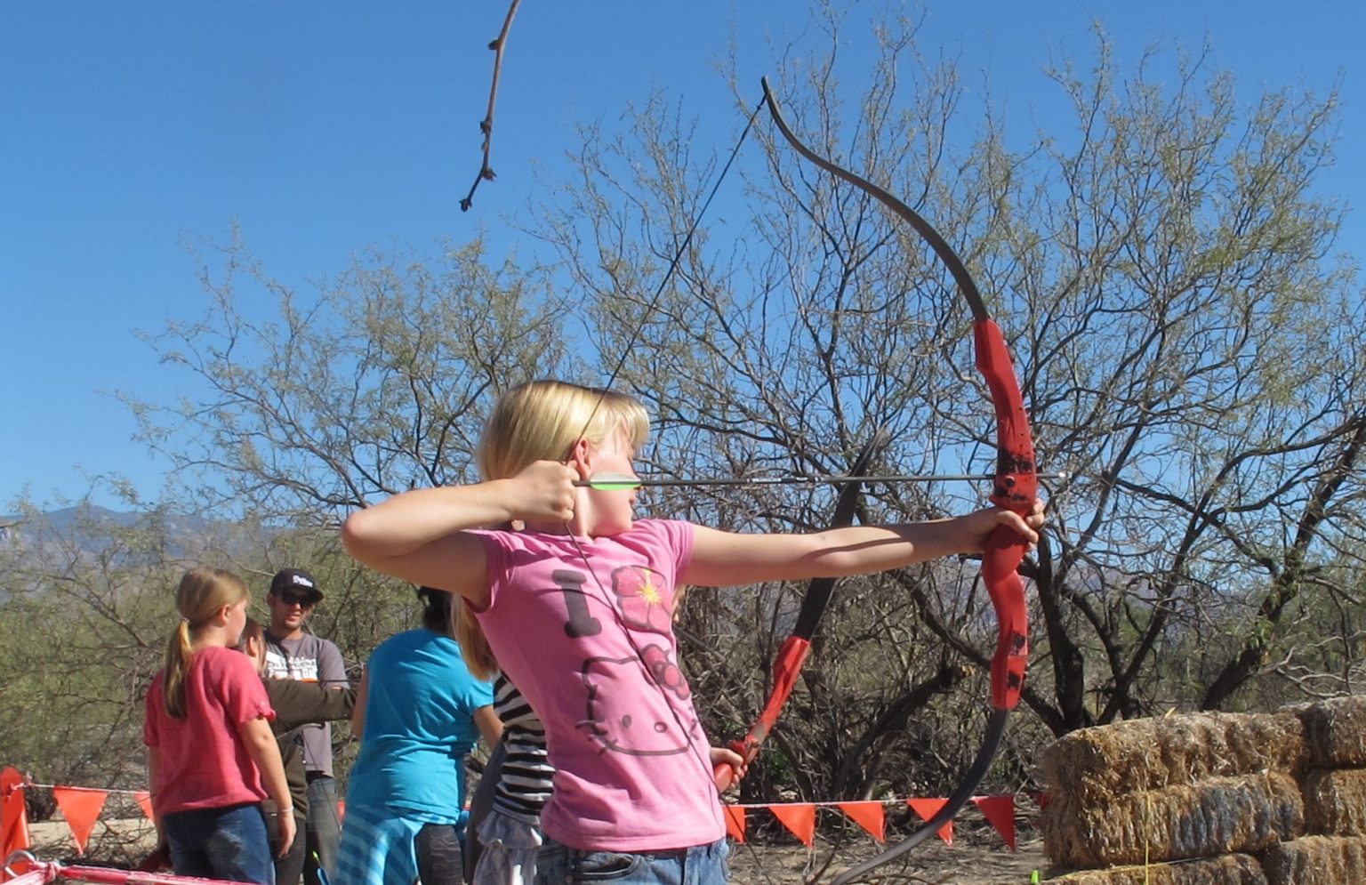 Try Something New - Archery For Nerds - MommyNerdist